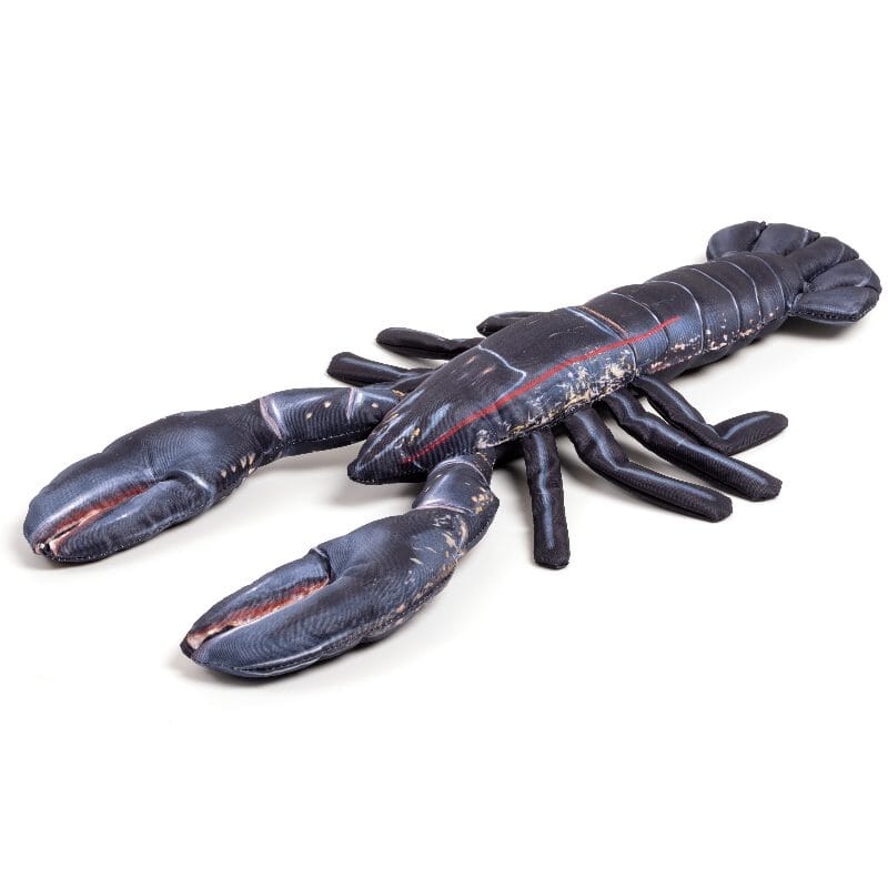 Kosefisk Hummer - NORSK FLETTERI AS